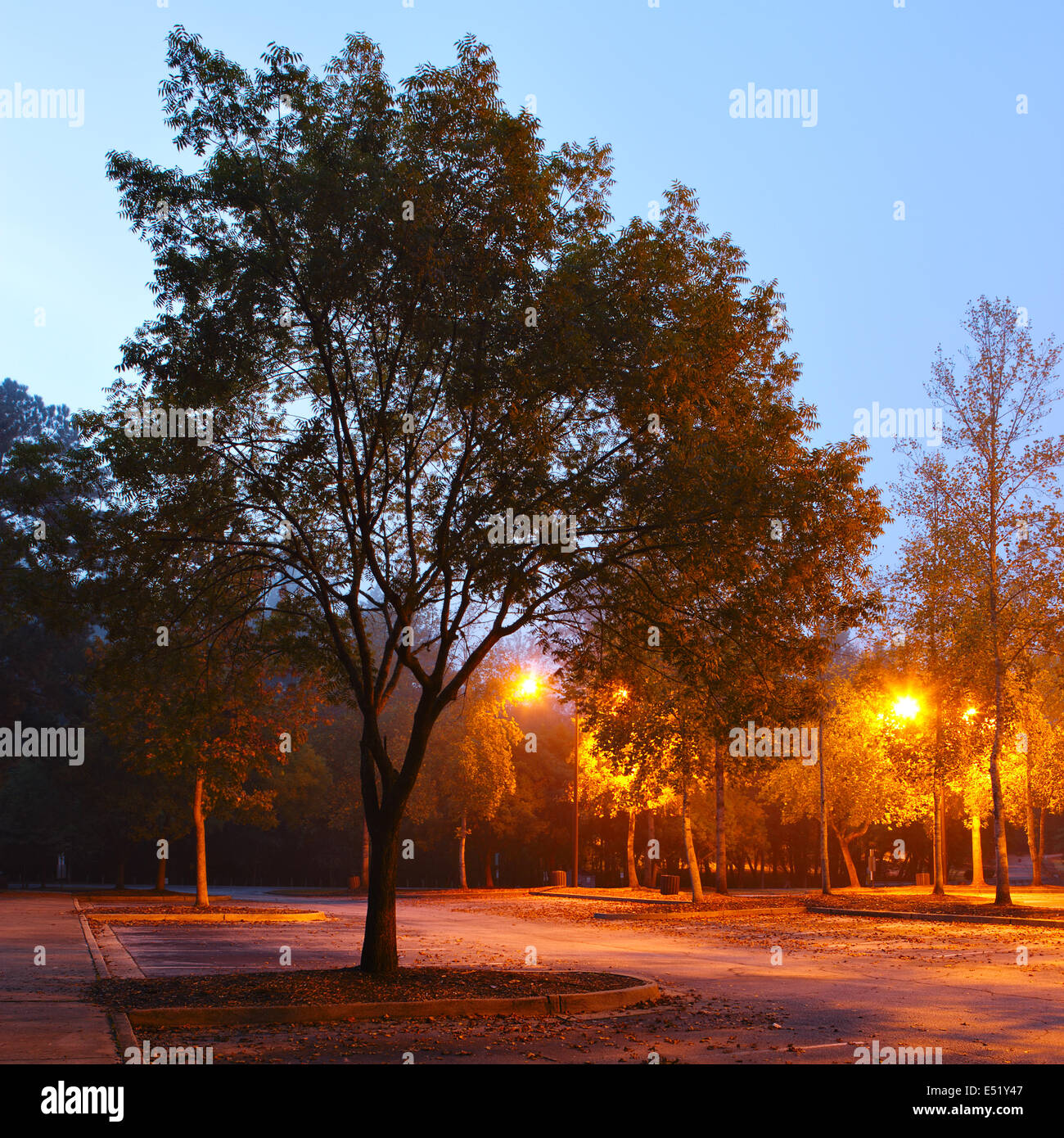 Lighted morning light hi-res stock photography and images - Alamy