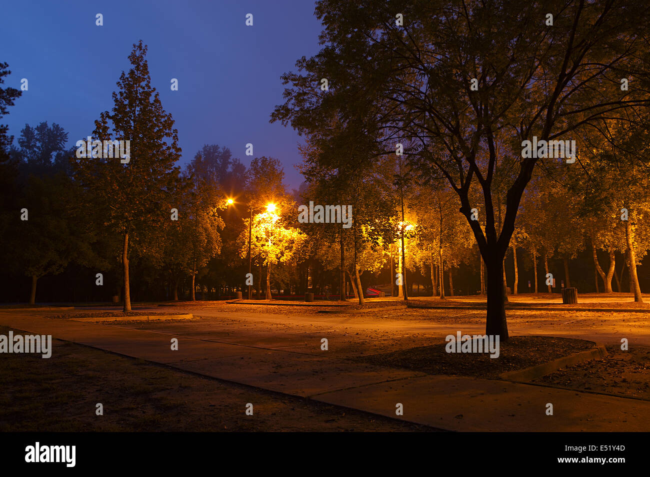 Tree shadow early morning hi-res stock photography and images - Alamy