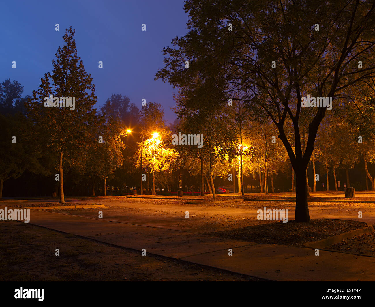 Lighted morning light hi-res stock photography and images - Alamy