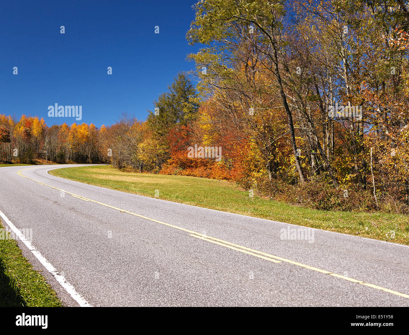 Road through autumn forest Stock Photo - Alamy