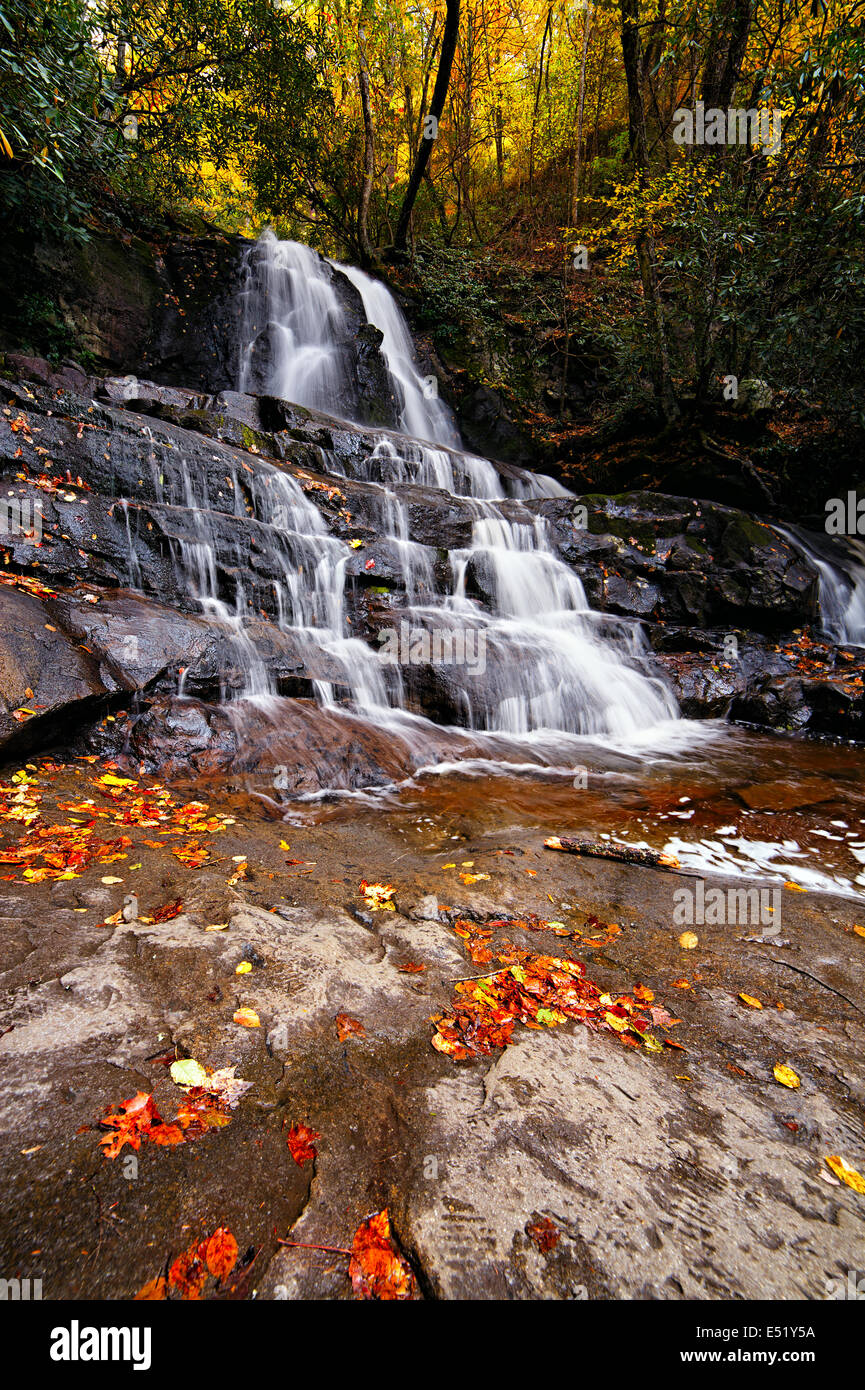 Laurel cascade hi-res stock photography and images - Alamy