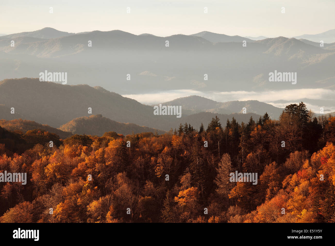 Great smoky mountains national park hi-res stock photography and images ...