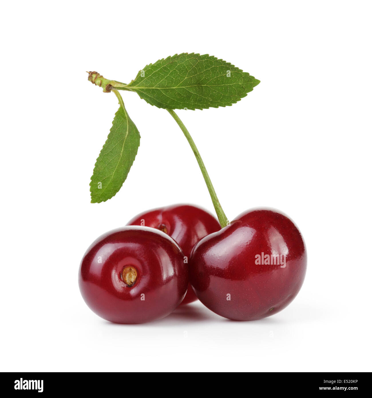 ripe cherry berries, isolated on white background Stock Photo - Alamy