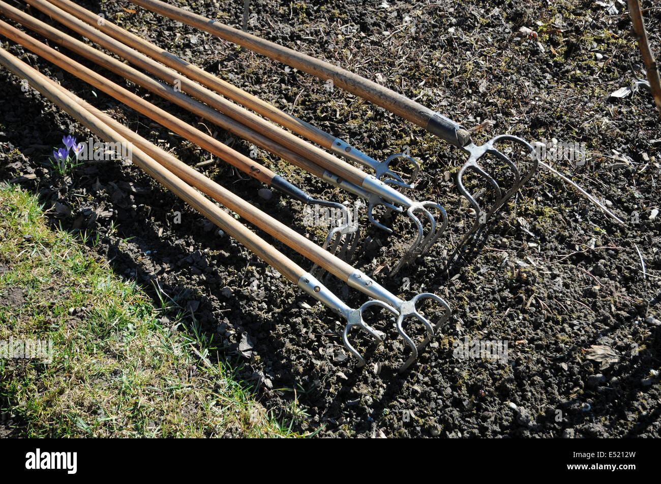 Rake and hoe hi-res stock photography and images - Alamy