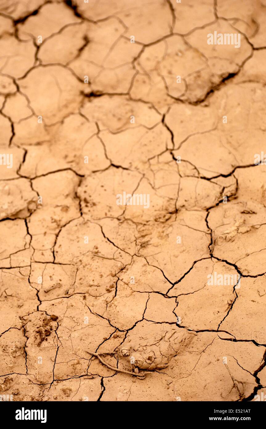 Dry waterhole hi-res stock photography and images - Alamy