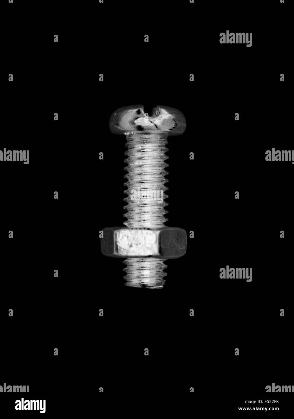 Nuts for nuts Black and White Stock Photos & Images - Alamy