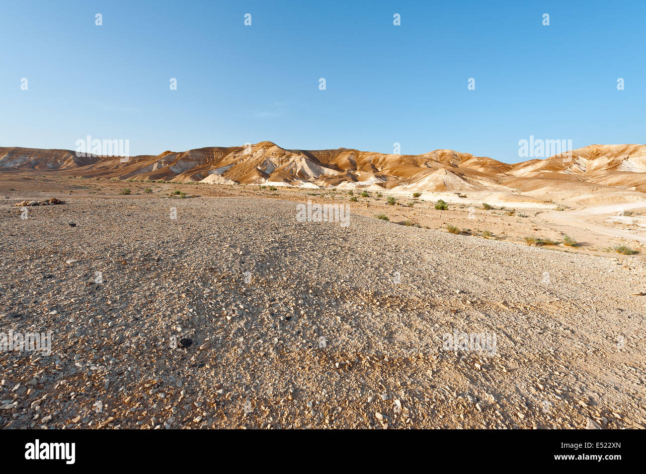 Judean desert nature reserve hi-res stock photography and images - Alamy