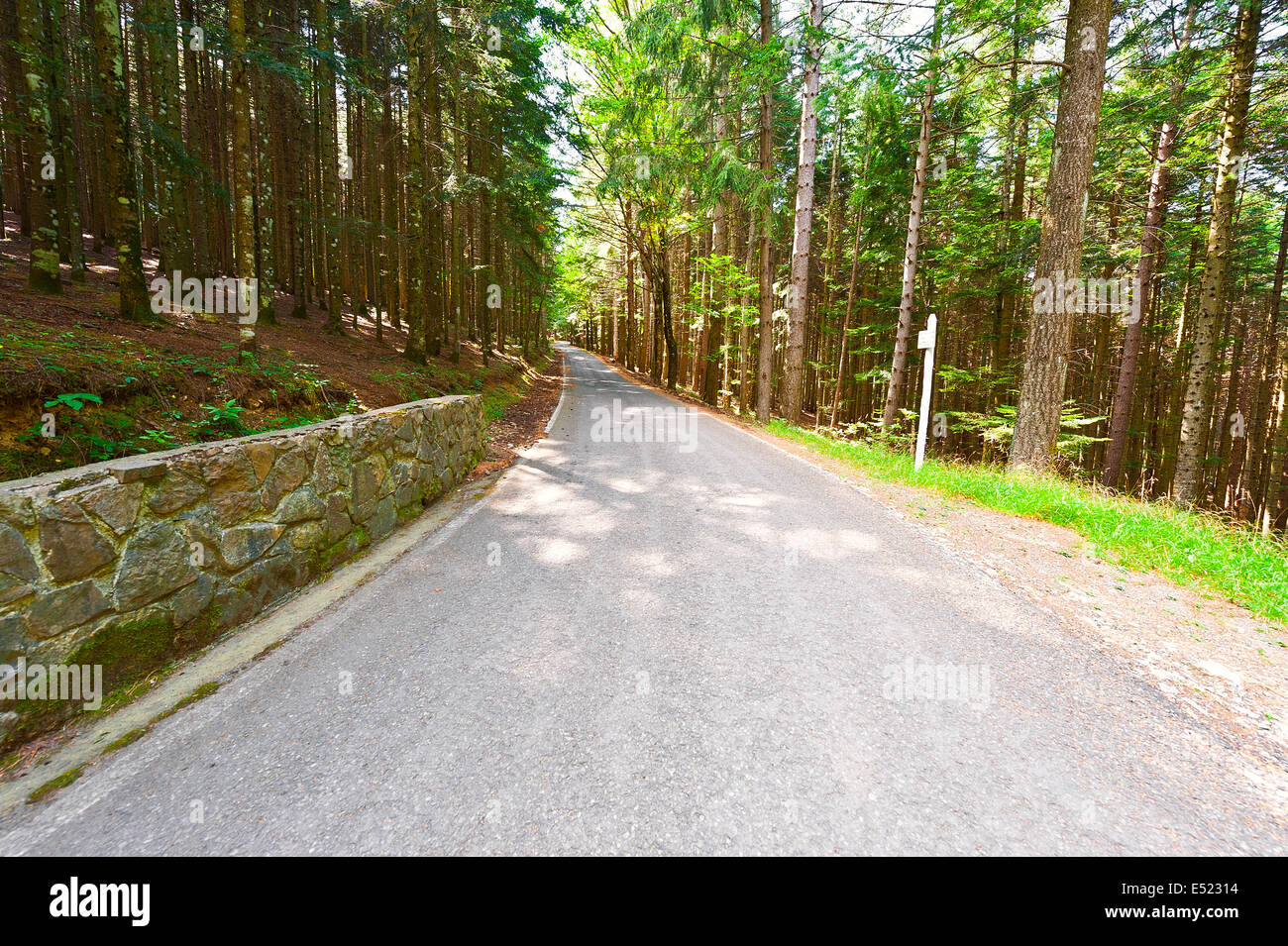 With straig hi-res stock photography and images - Alamy