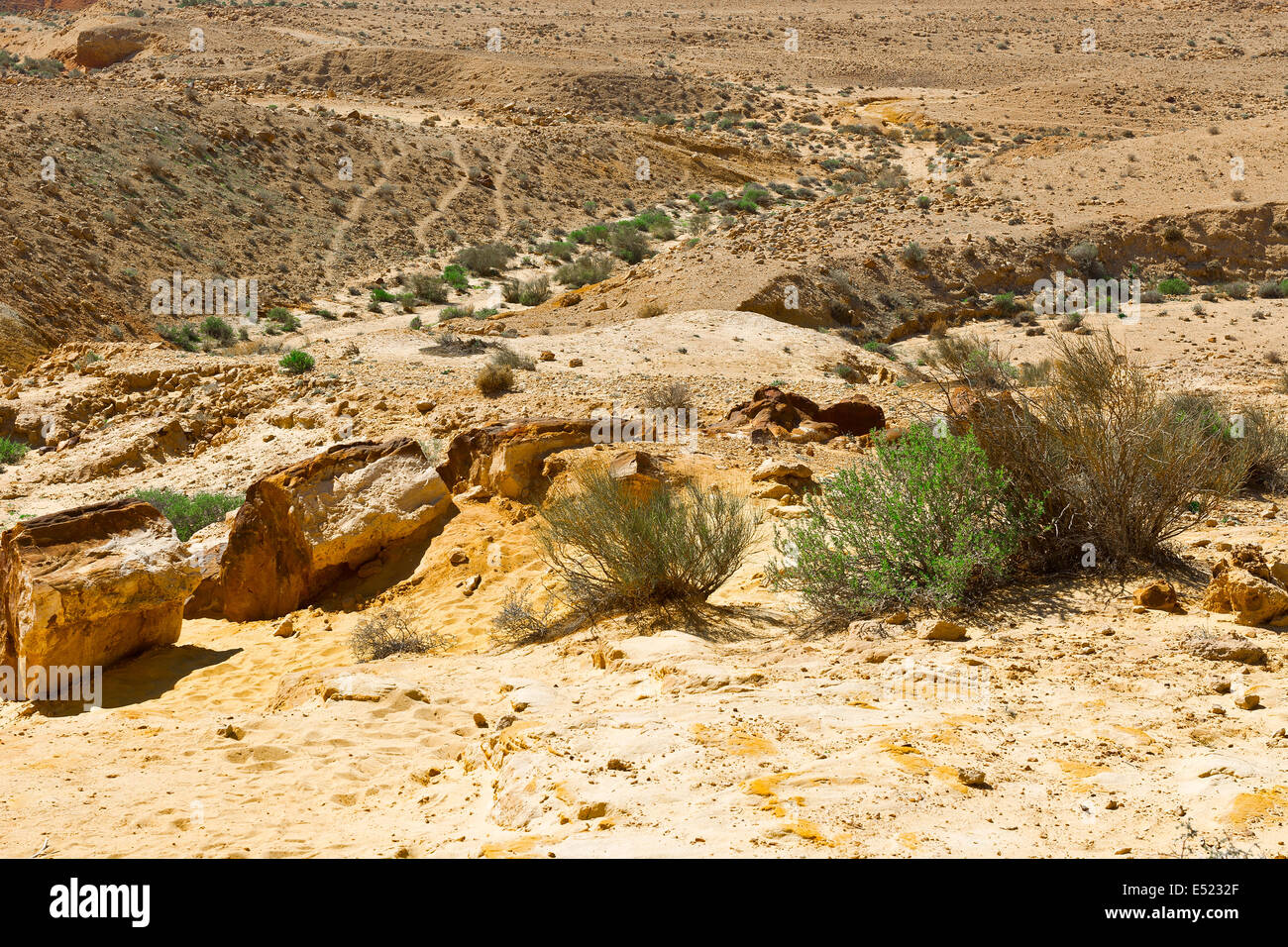 Stones in the desert Stock Photo - Alamy