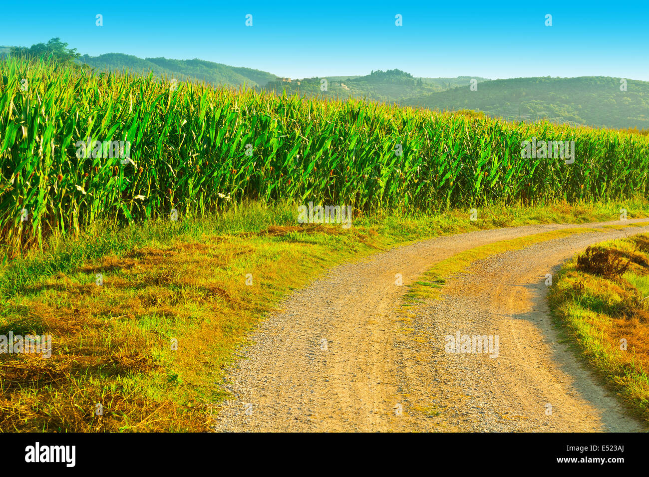 Plantation plain farmhouse hi-res stock photography and images - Alamy