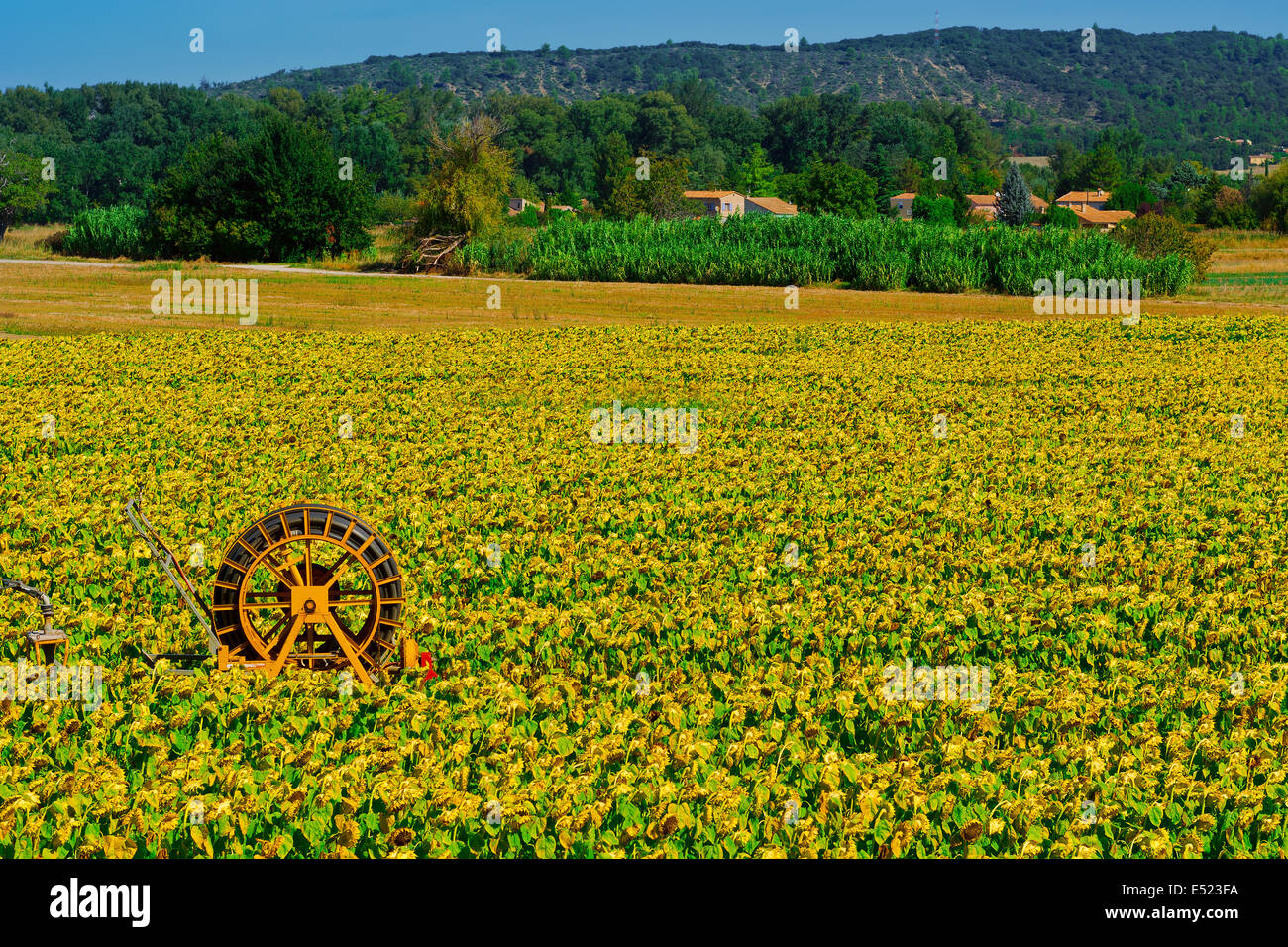 Home irrigation hi-res stock photography and images - Alamy