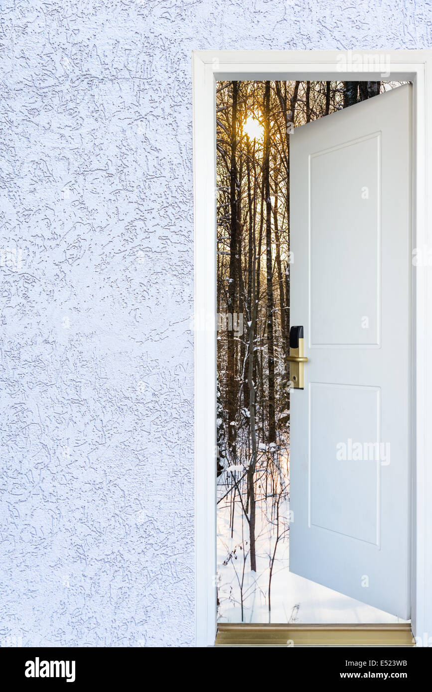 open door and a winter forest Stock Photo - Alamy