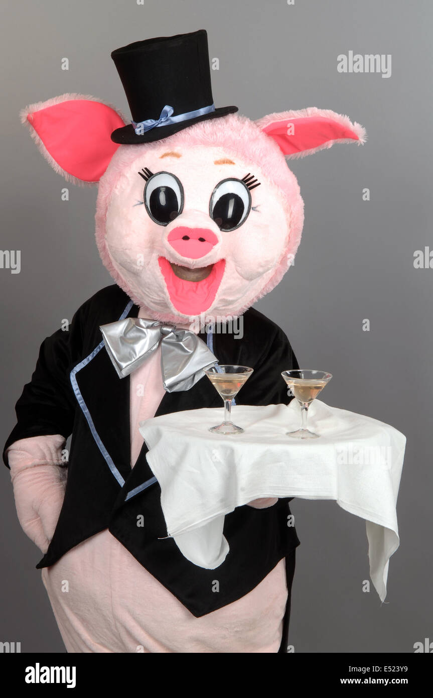Pig costume dog hi-res stock photography and images - Alamy