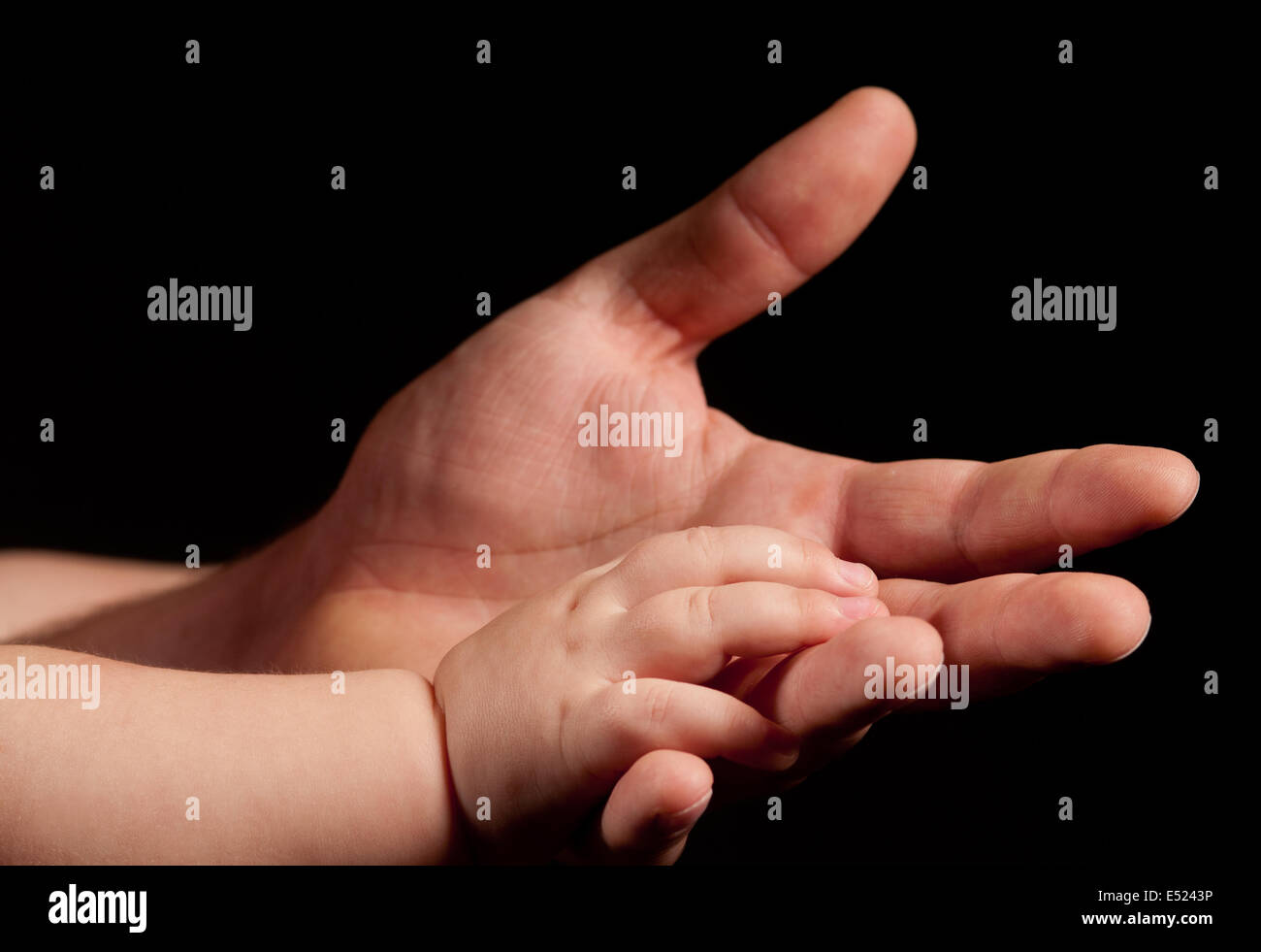 the hands of father and child Stock Photo - Alamy