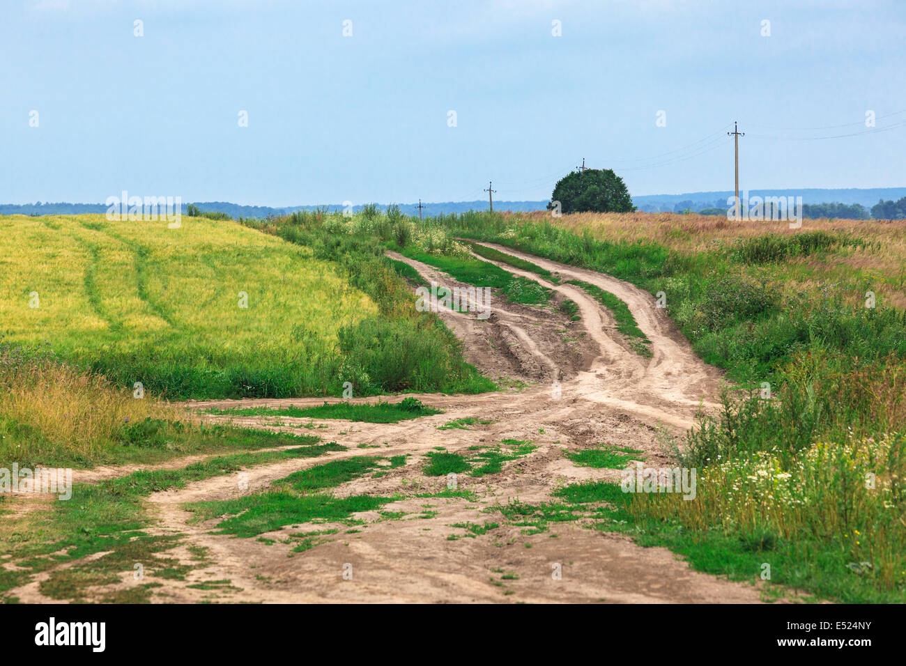 the country road Stock Photo - Alamy