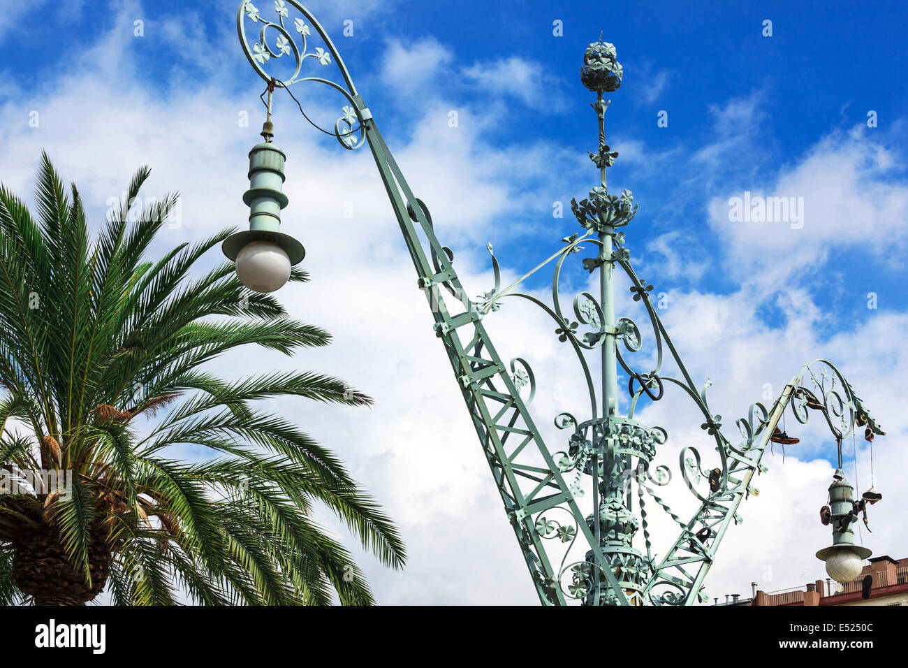 Palm tree copper hi-res stock photography and images - Alamy