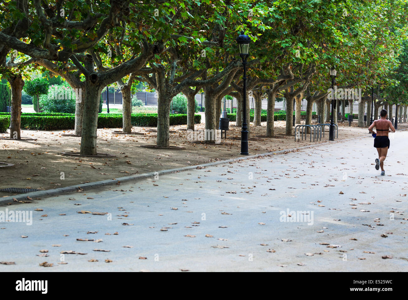 jogging in the park Stock Photo - Alamy