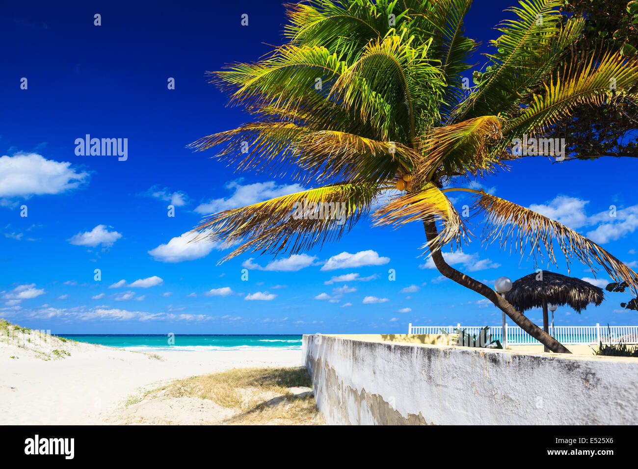 strong wind on the ocean Stock Photo - Alamy