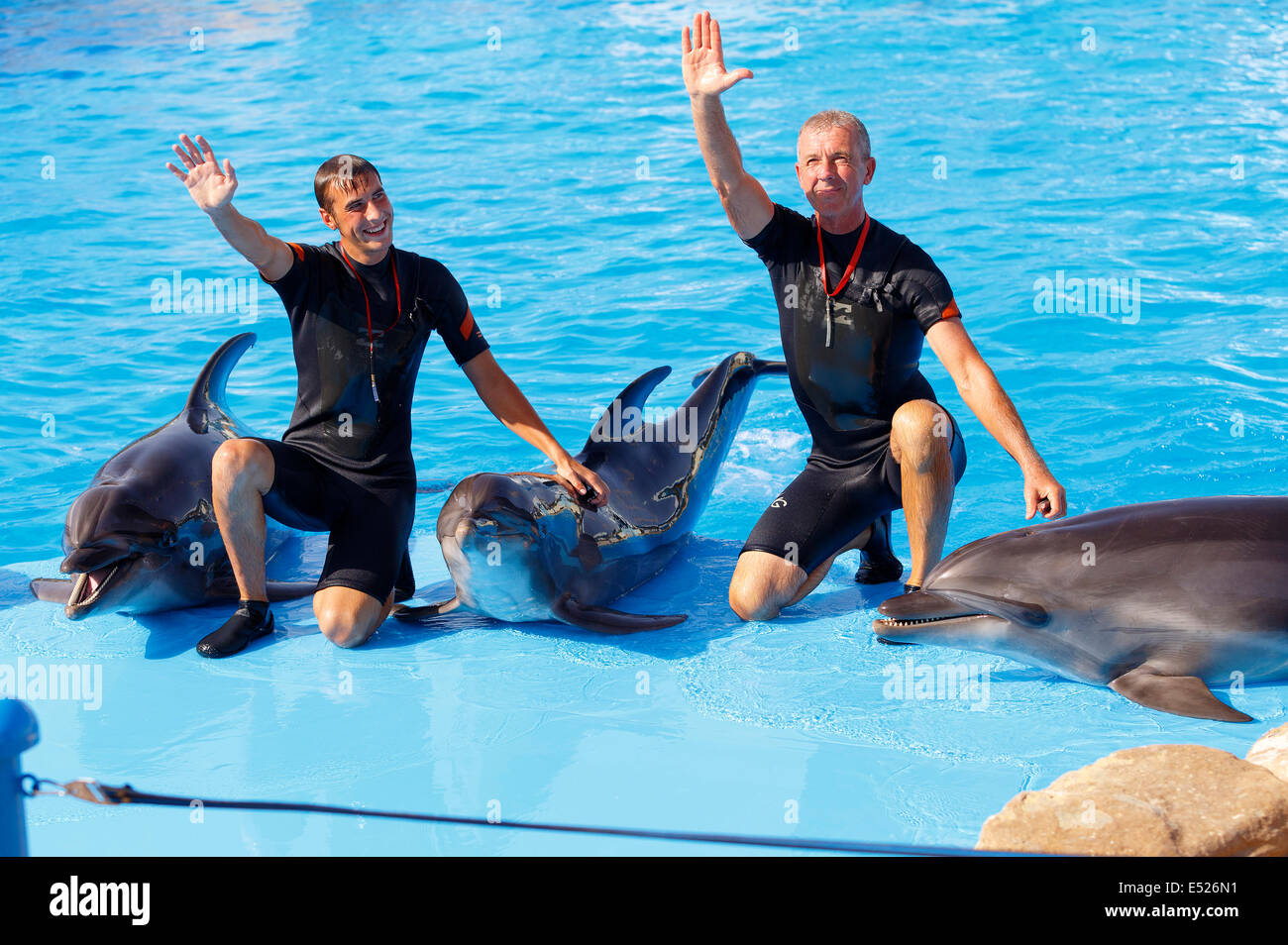Dolphin show in hurghada egypt hi-res stock photography and images - Alamy