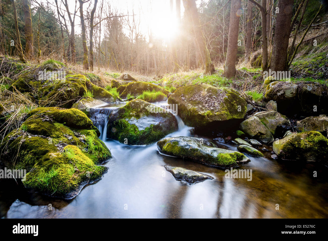Full hd light hi-res stock photography and images - Alamy