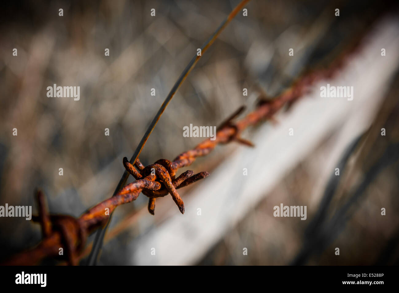 Rusty barbed wire fence Stock Photo - Alamy