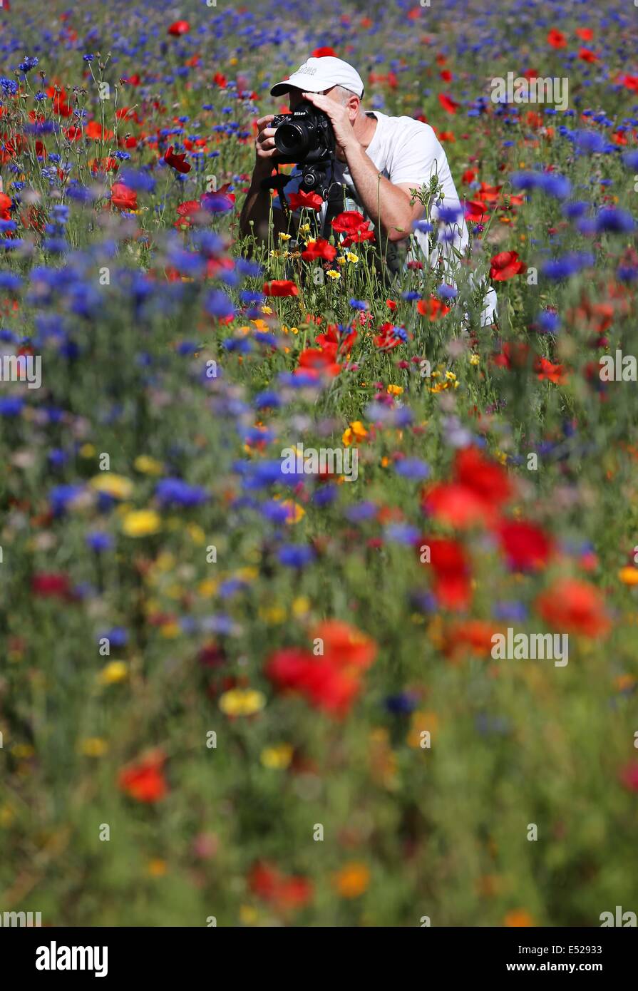 Peter Merrick takes close-up photographs of the amazing meadow of ...