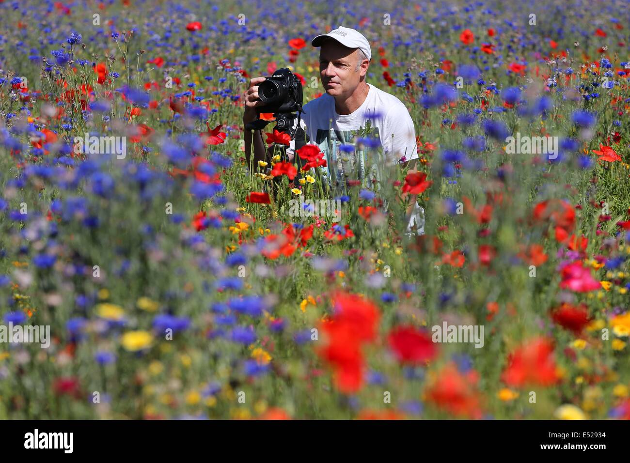 Peter Merrick takes close-up photographs of the amazing meadow of ...