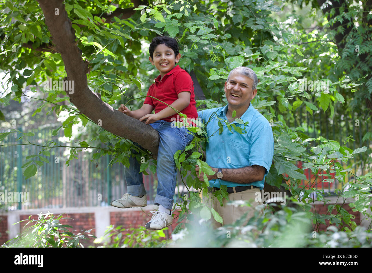 Portrait of boy sitting on a tree branch Stock Photo - Alamy