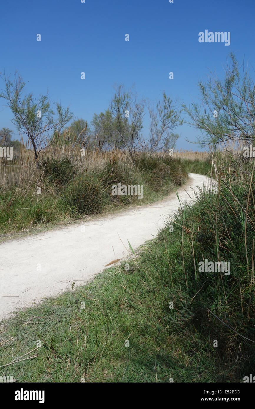 Bright White Path Stock Photo - Alamy