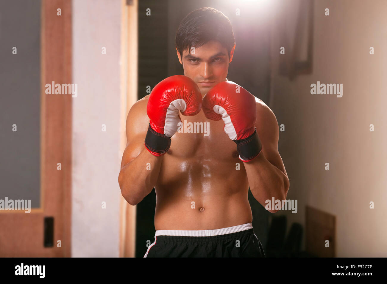 Portrait of young male boxer wearing boxing gloves in gym Stock Photo ...