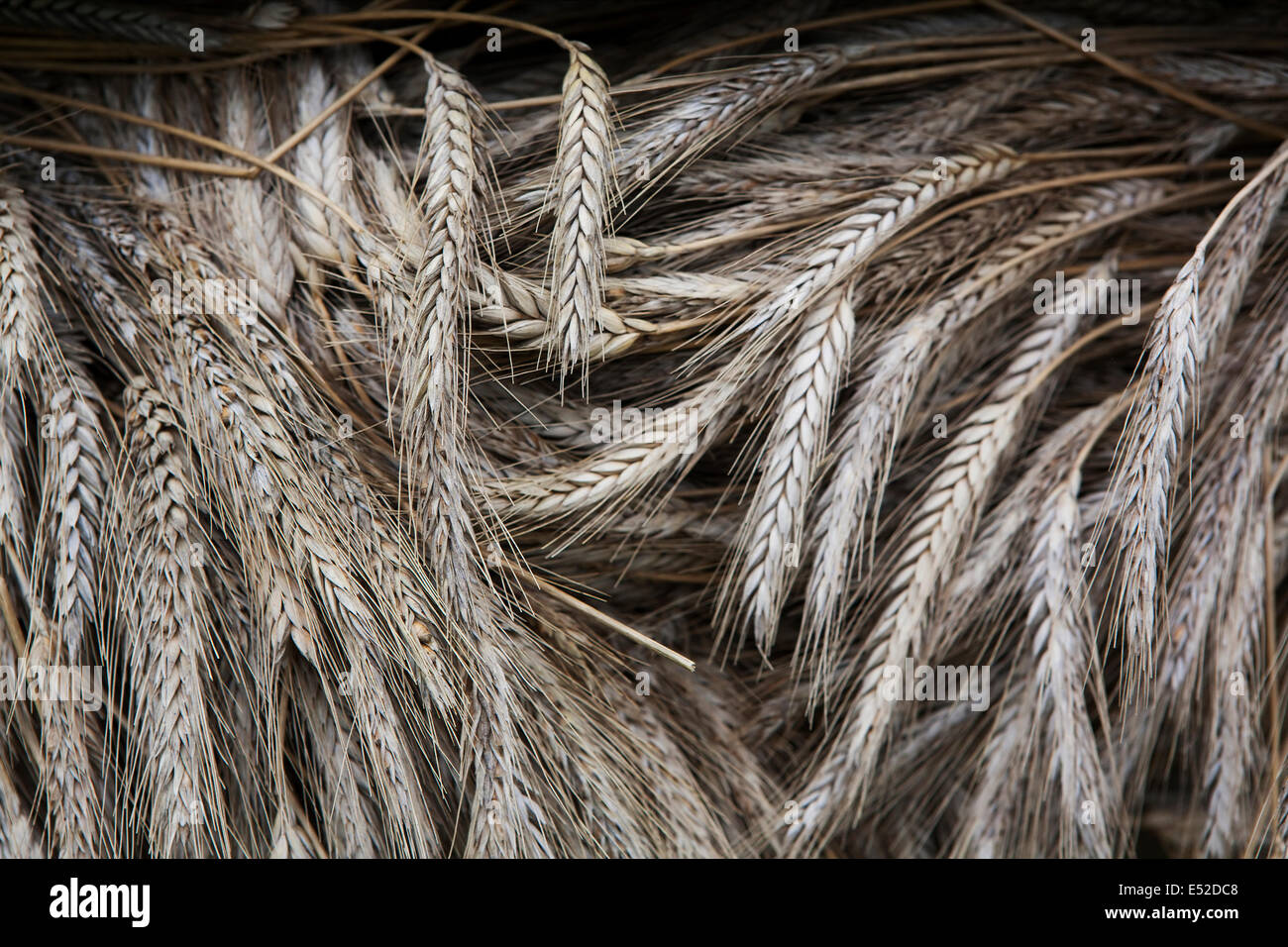 Thatching methods hi-res stock photography and images - Alamy