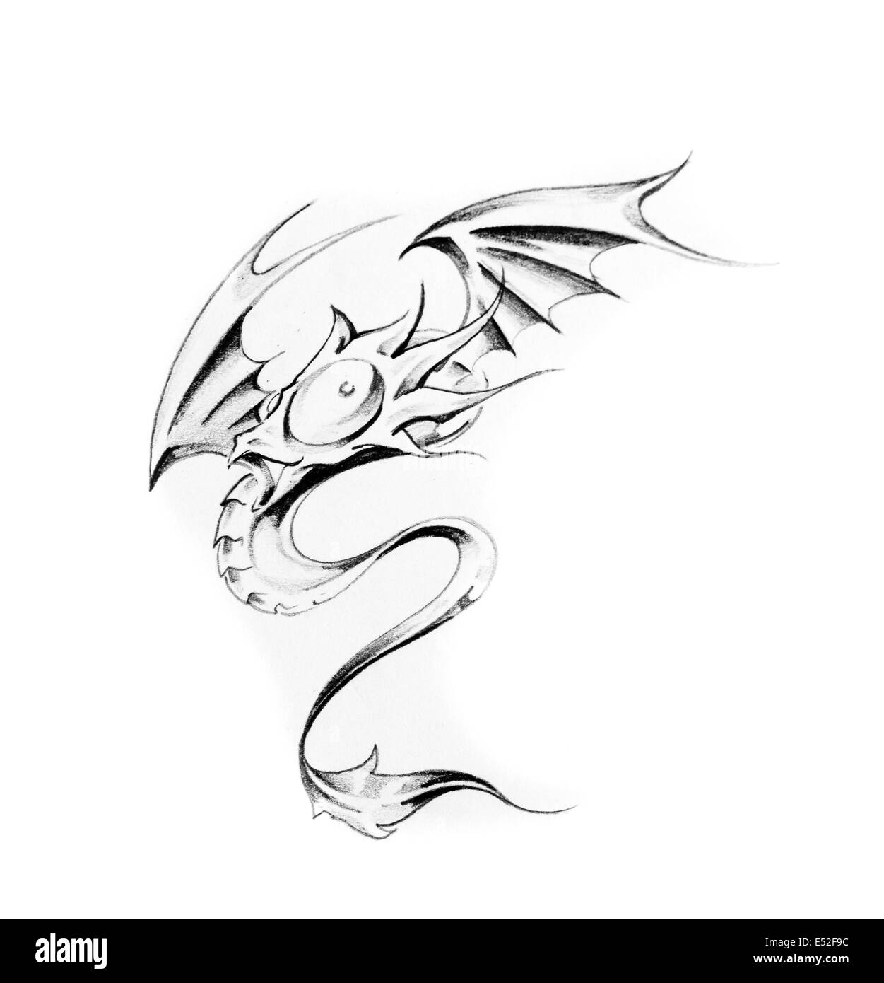 Sketch of tattoo art, dragon Stock Photo - Alamy