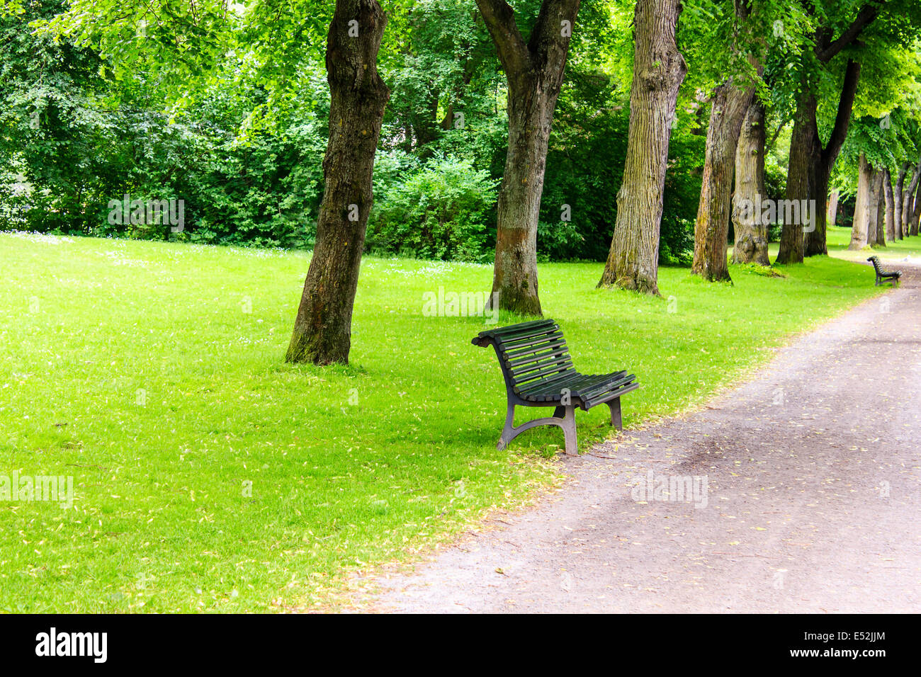 The Stylish bench in the summer park Stock Photo - Alamy