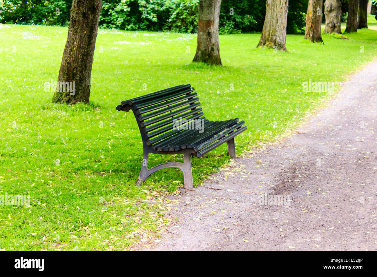The Stylish bench in the summer park Stock Photo - Alamy