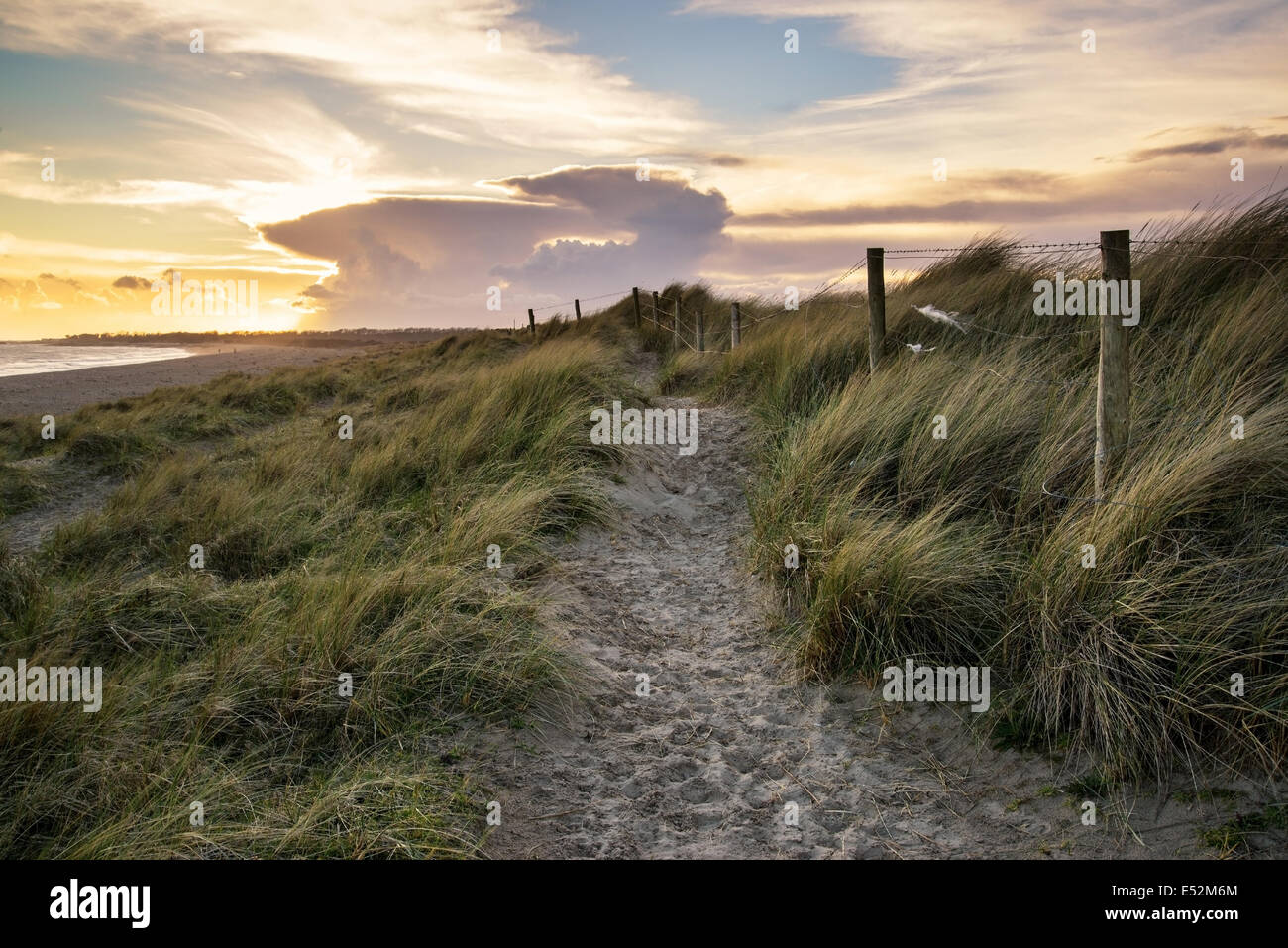 Beautiful blue sky beach Summer sunset landscape Stock Photo - Alamy