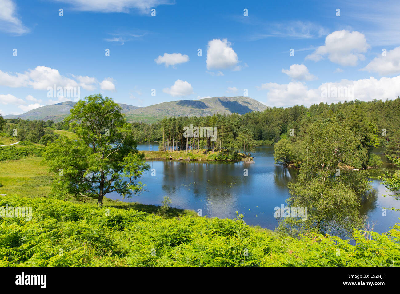 Tarn Hows and mountains Lake District National Park England uk on a ...