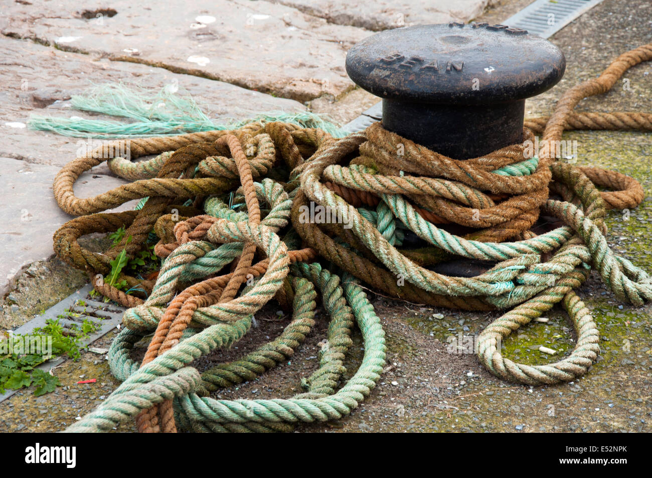 Welsh knot hi-res stock photography and images - Alamy
