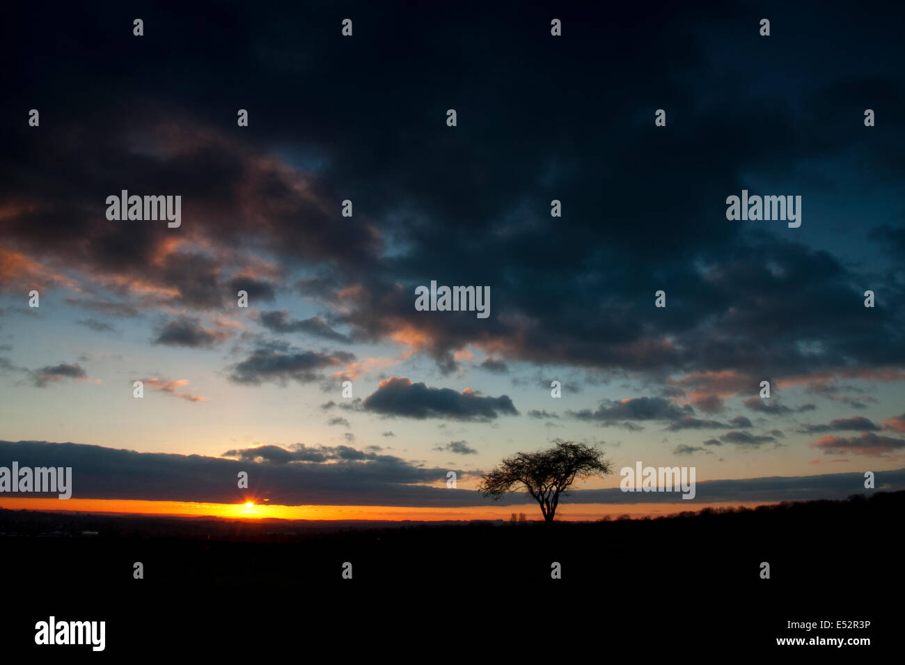 Lone Tree at Sunset, Nottinghamshire England UK Stock Photo - Alamy