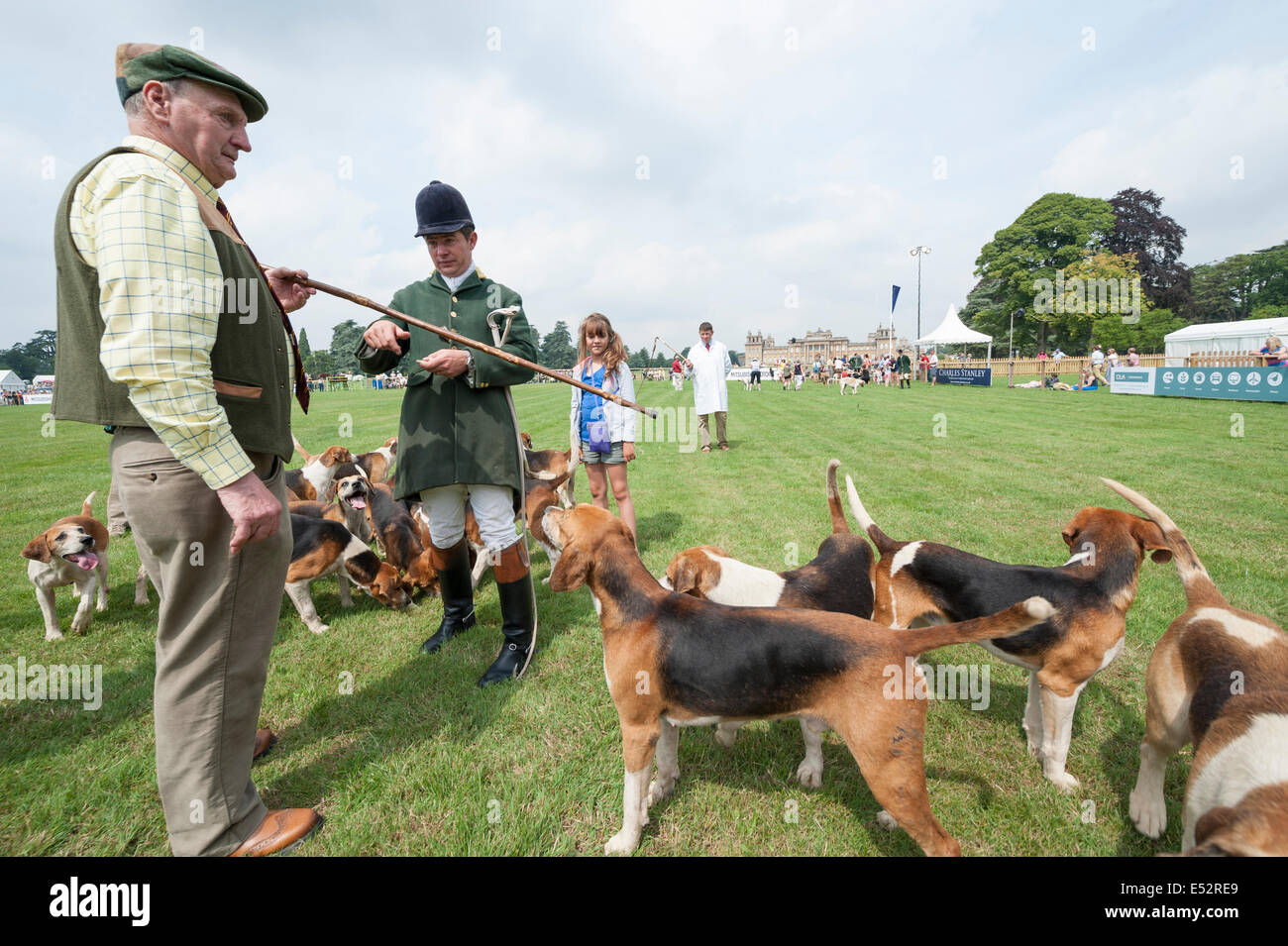 Cla game fair blenheim palace hi-res stock photography and images - Alamy