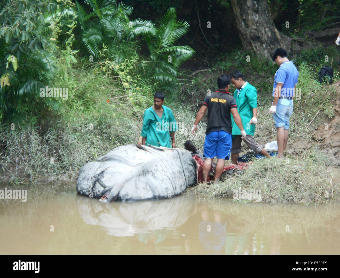 Poachers in india hi-res stock photography and images - Alamy