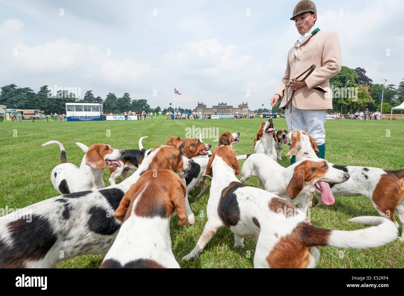 Cla game fair blenheim palace hi-res stock photography and images - Alamy