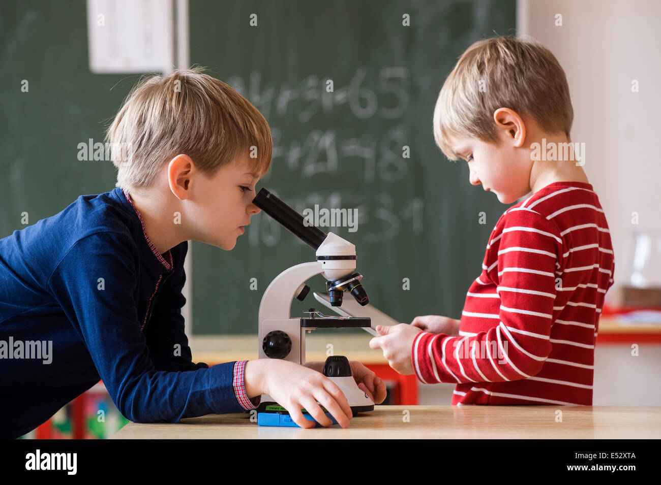 two school boys working with microscope Stock Photo - Alamy