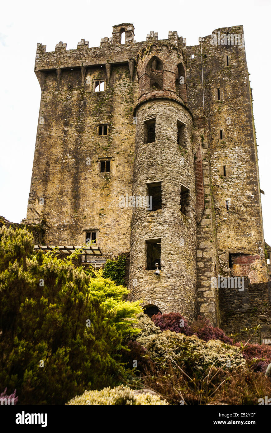 Famous Irish Castles