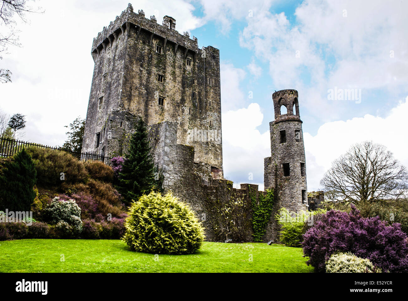 Irish castle of Blarney , famous for the stone of eloquence. Ireland ...