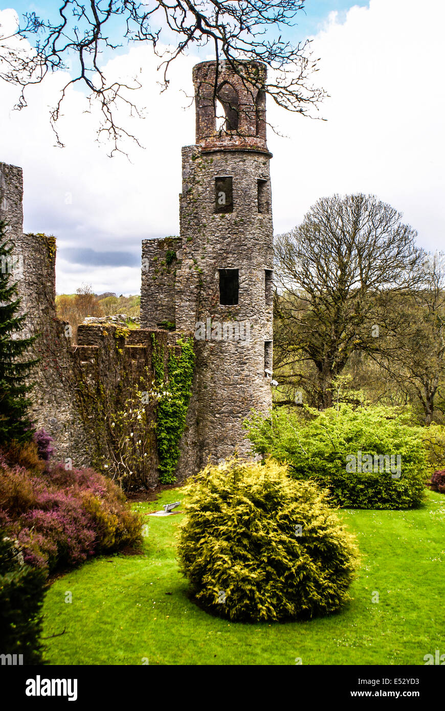 Irish castle of Blarney , famous for the stone of eloquence. Ireland ...