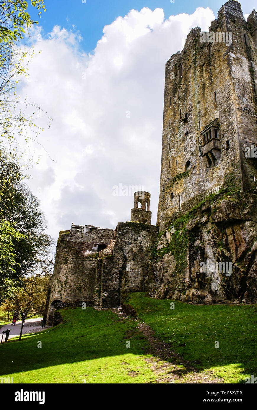 Gaelic irish battle hi-res stock photography and images - Alamy