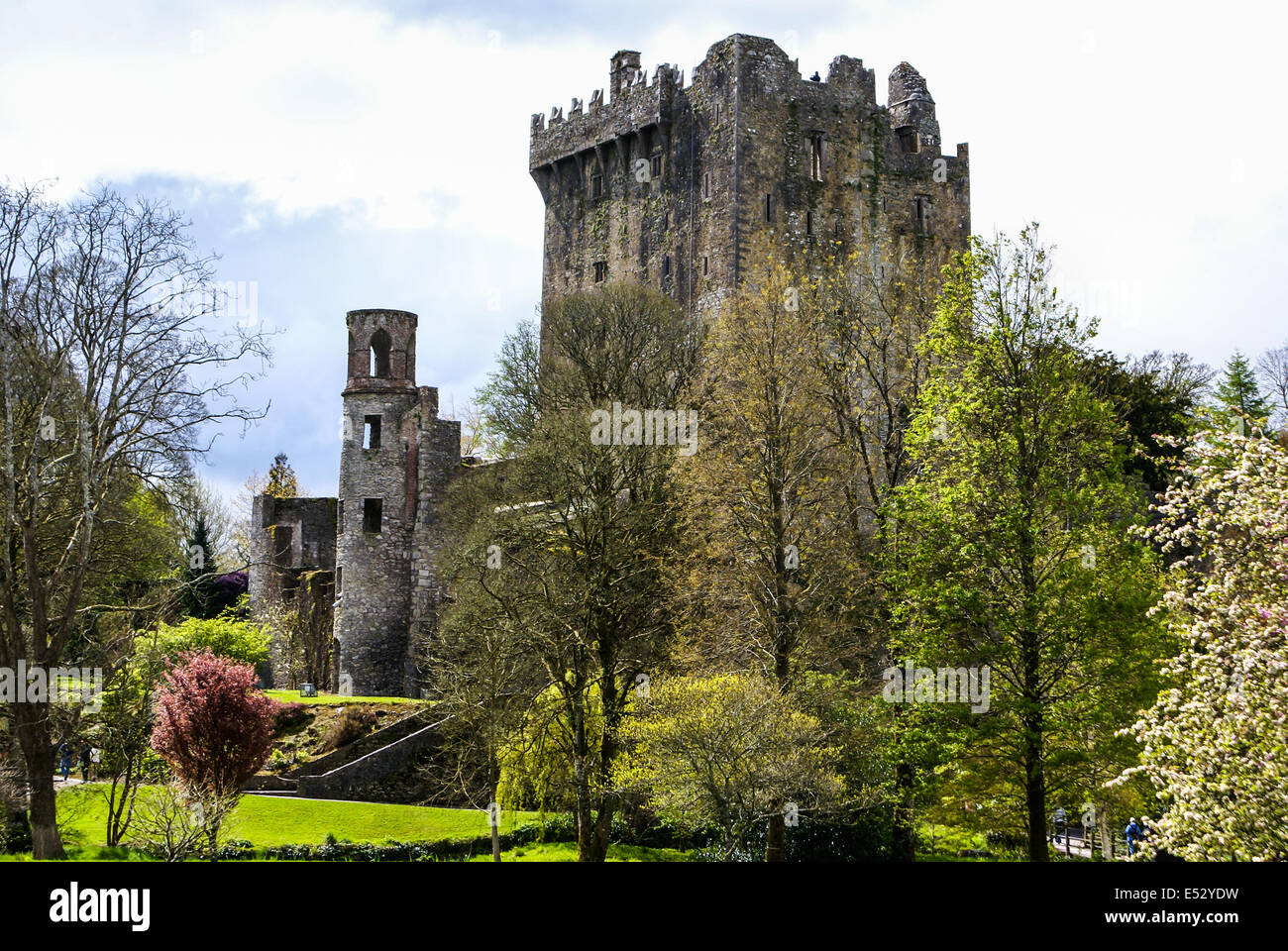 Famous Irish Castles