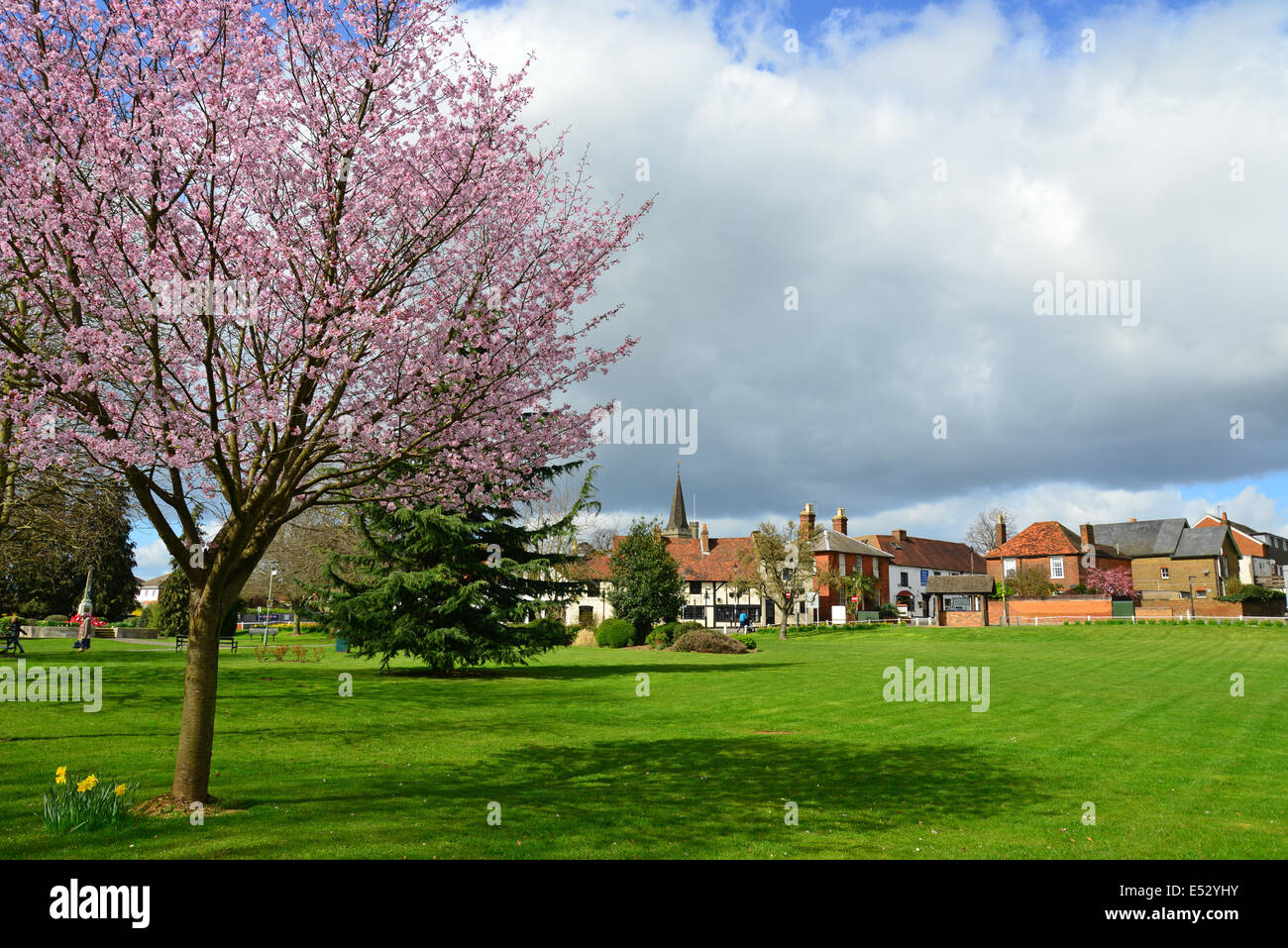 Burnham Park in spring, Burnham, Buckinghamshire, England, United ...