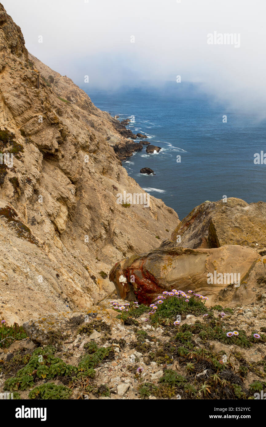coastline near Point Reyes Lighthouse in Point Reyes National Seashore ...