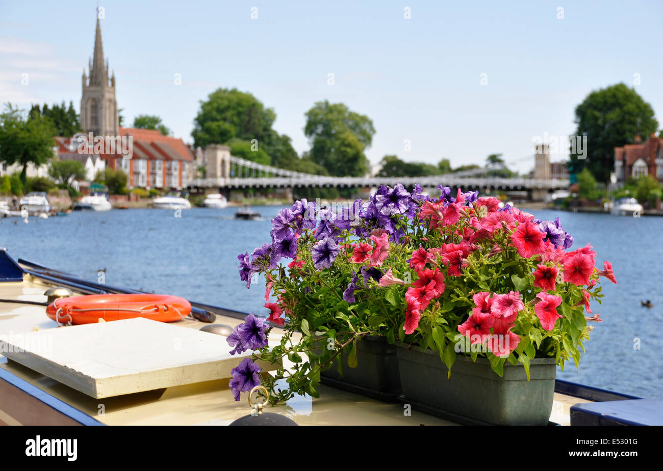 Bucks - Marlow on Thames - close up colourful flower trough - deck ...